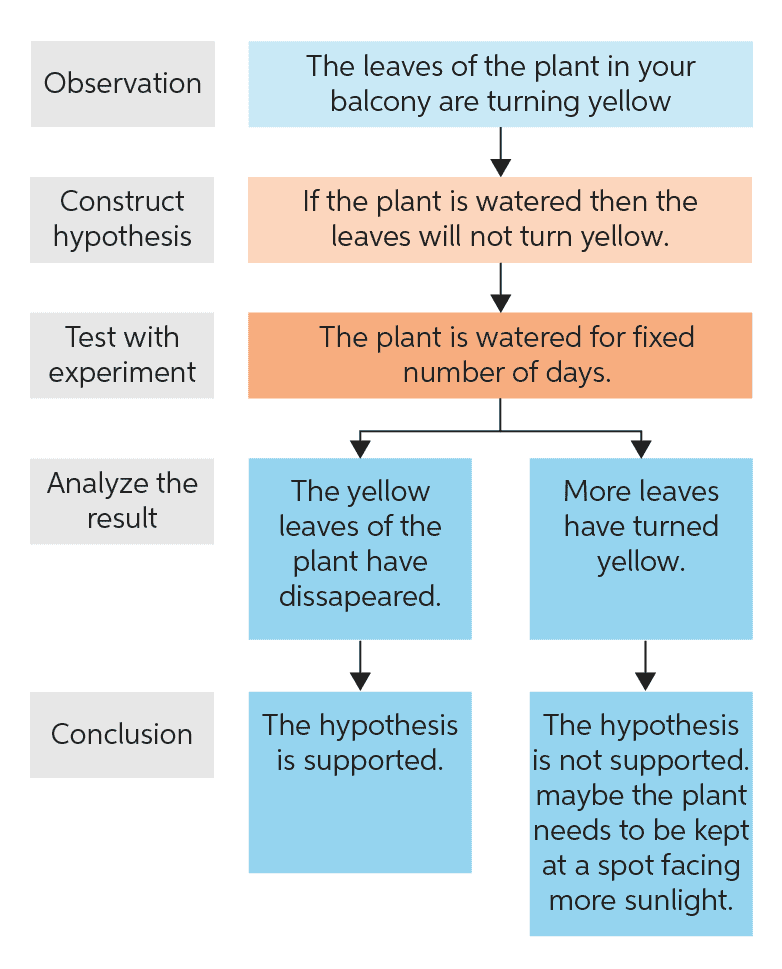 What is the scientific method | Chegg Writing