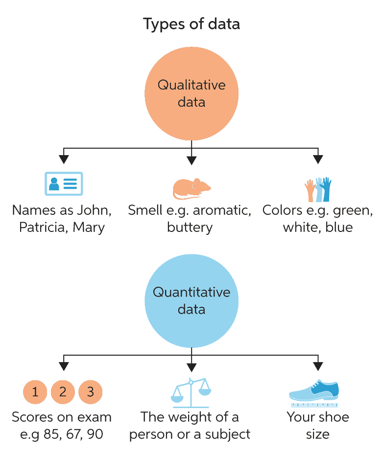 Data collection methods | Chegg Writing